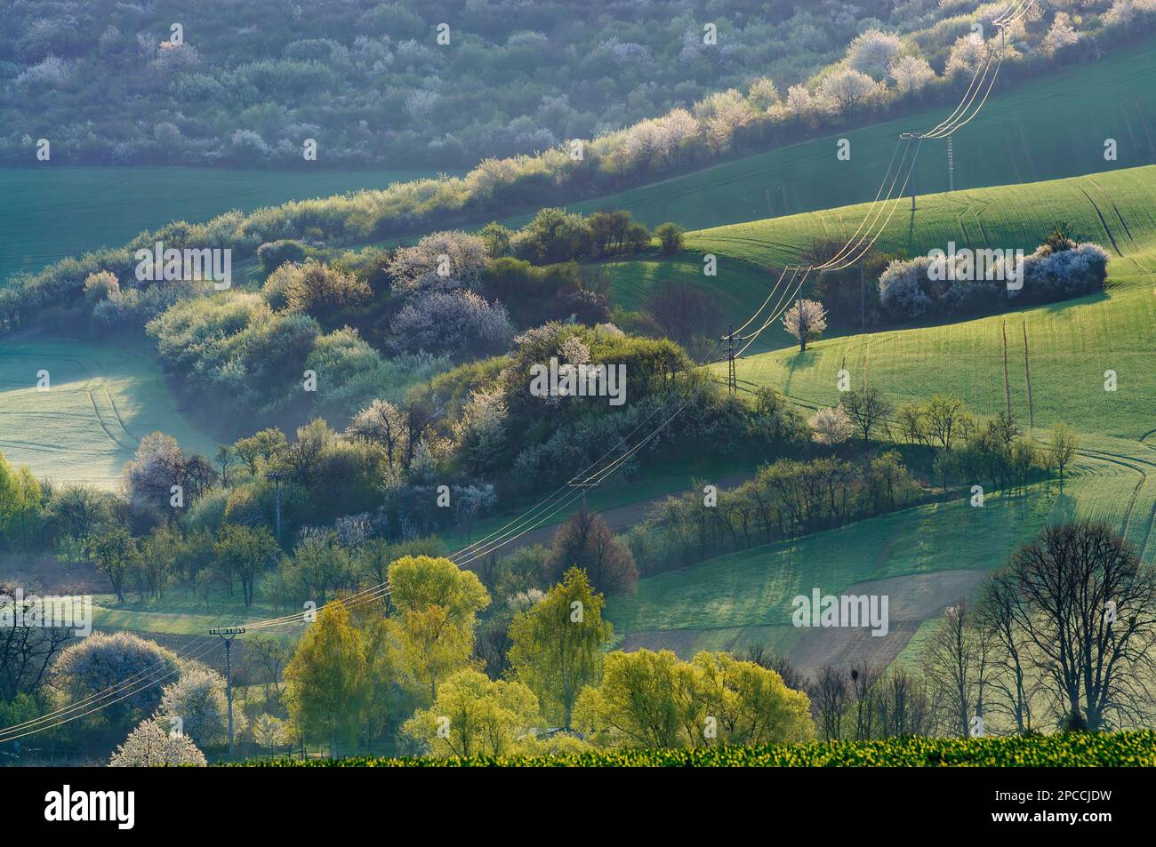 green hills in moravia Stock Photo - Alamy