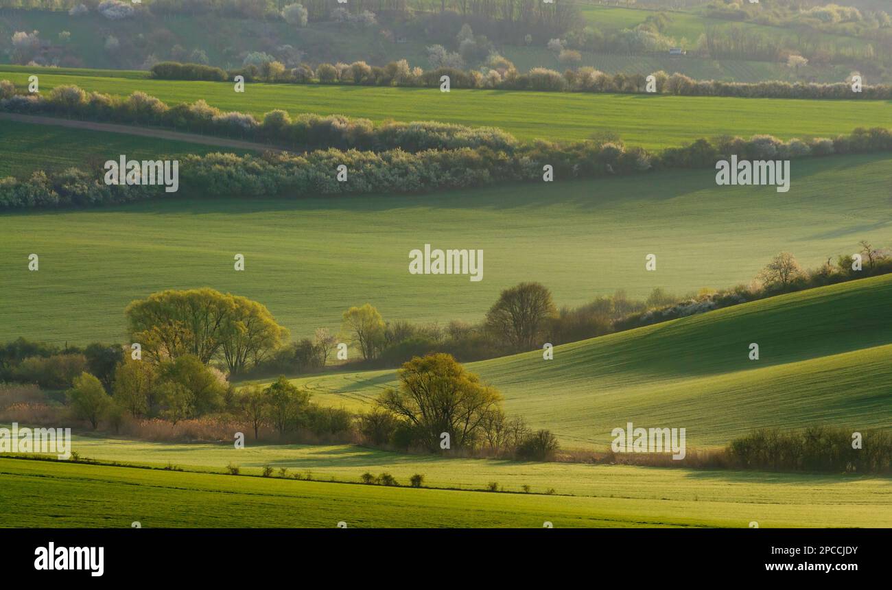 green hills in moravia Stock Photo - Alamy