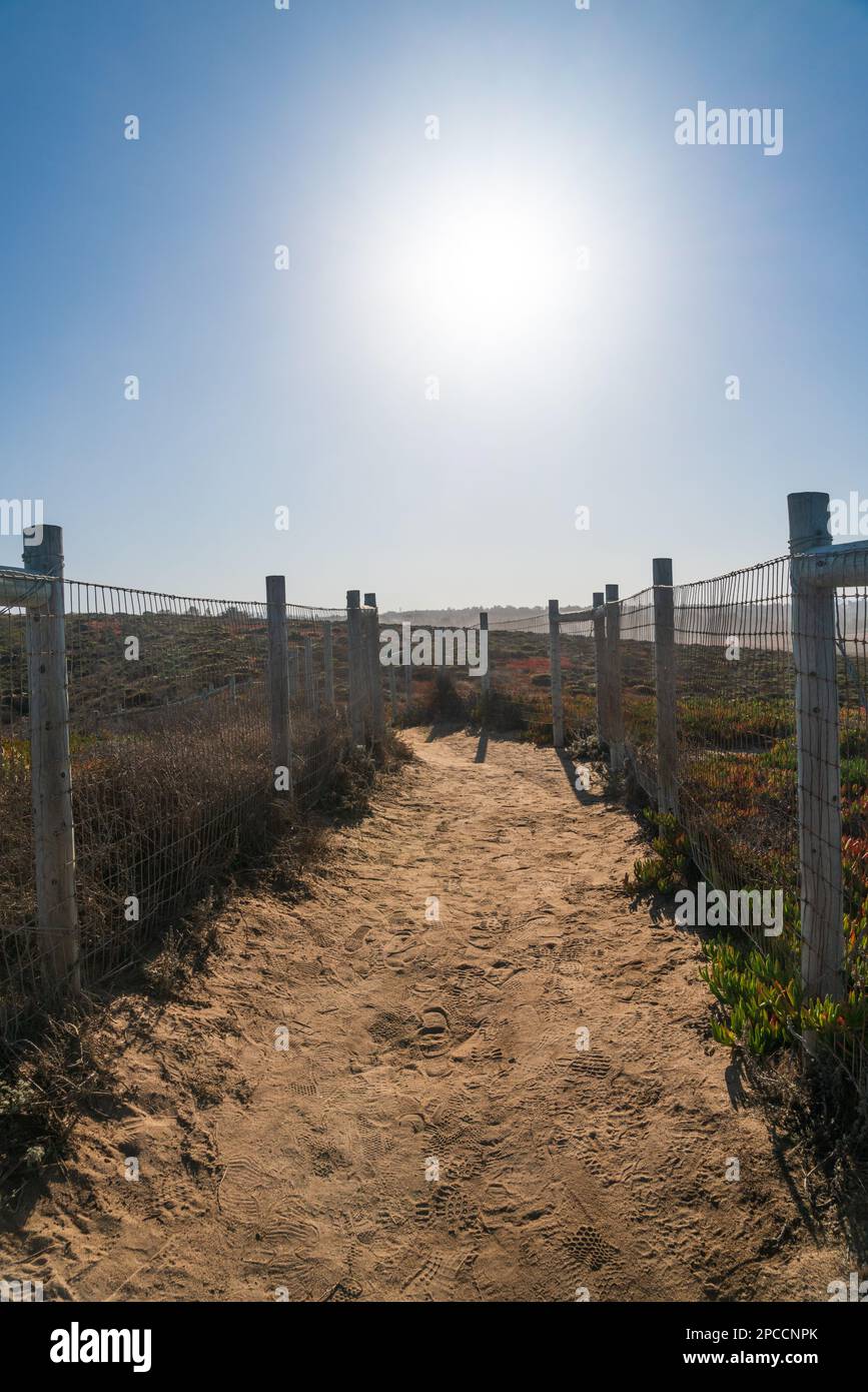 Fort ord dunes state park california hi-res stock photography and ...