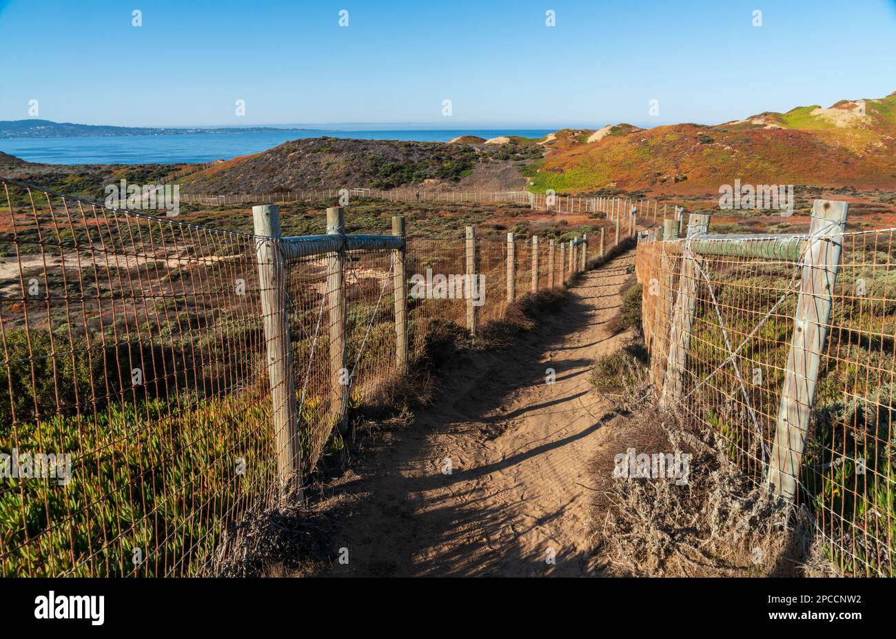 Fort ord dunes state park california hi-res stock photography and ...