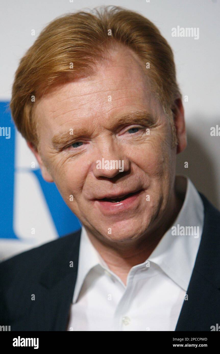 Actor David Caruso arrives at the Museum of Television and Radio's ...