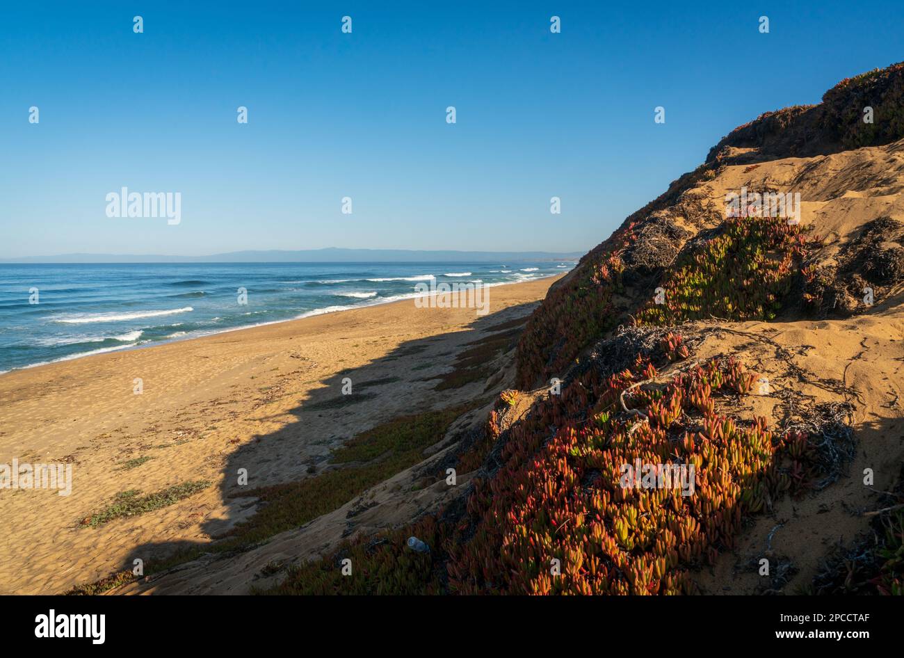 Fort ord dunes state park california hi-res stock photography and ...