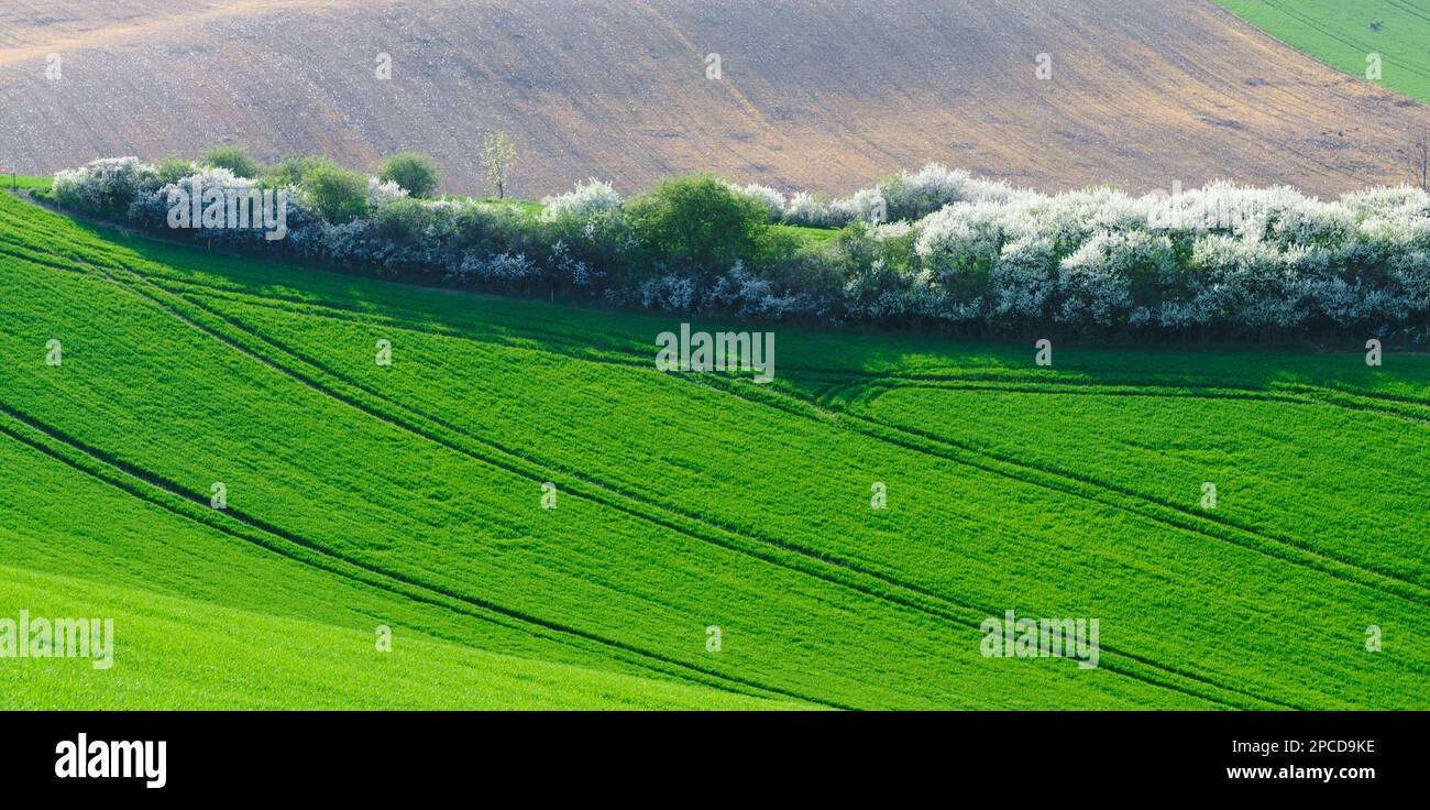 green hills in moravia Stock Photo - Alamy