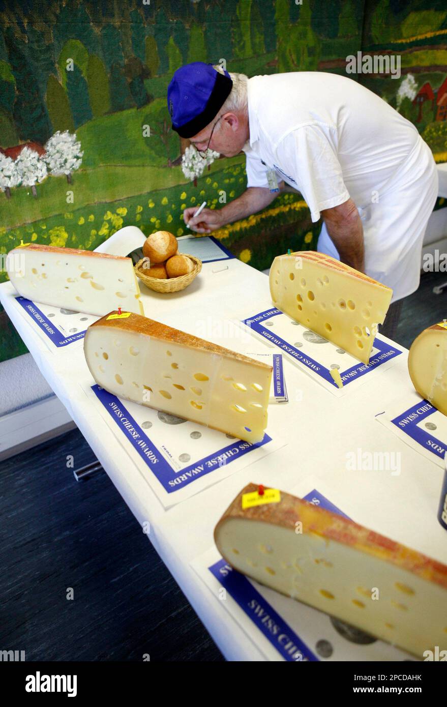 A jury member tests and appraises cheese during the Fifth Swiss Cheese ...