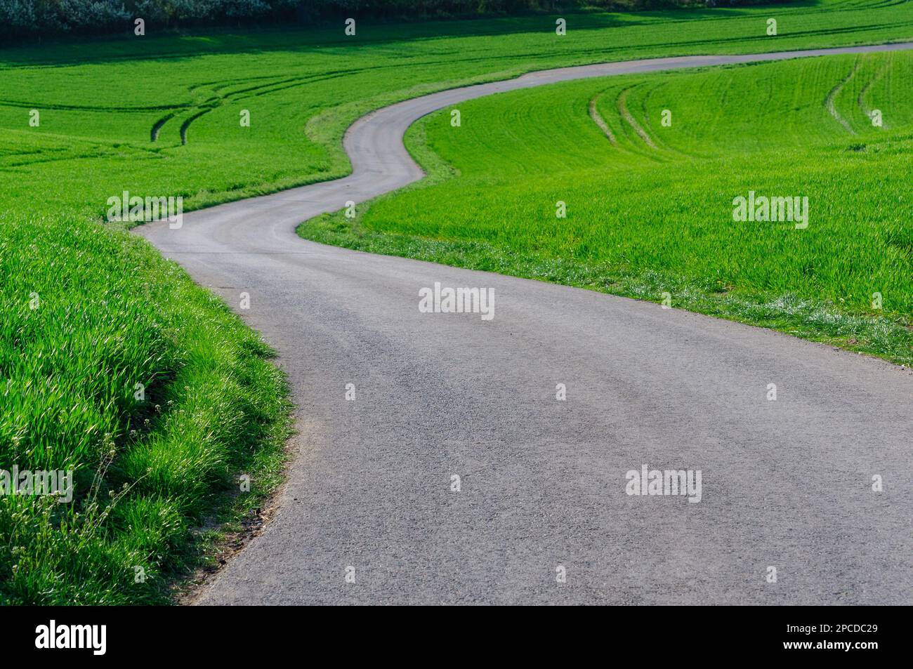 road winding among the green hills of moravia Stock Photo - Alamy