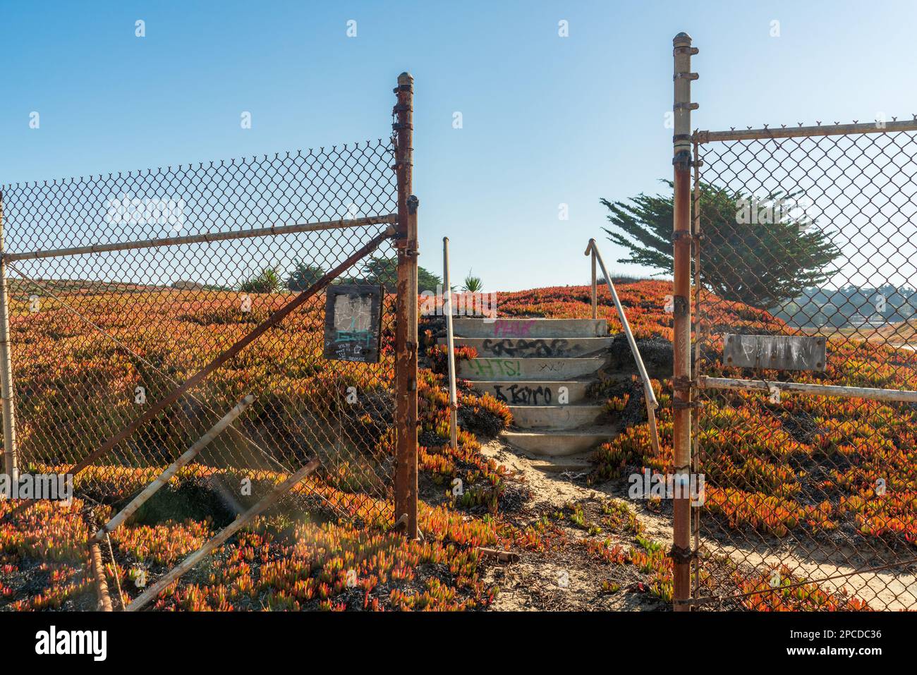 Fort ord dunes state park hi-res stock photography and images - Alamy