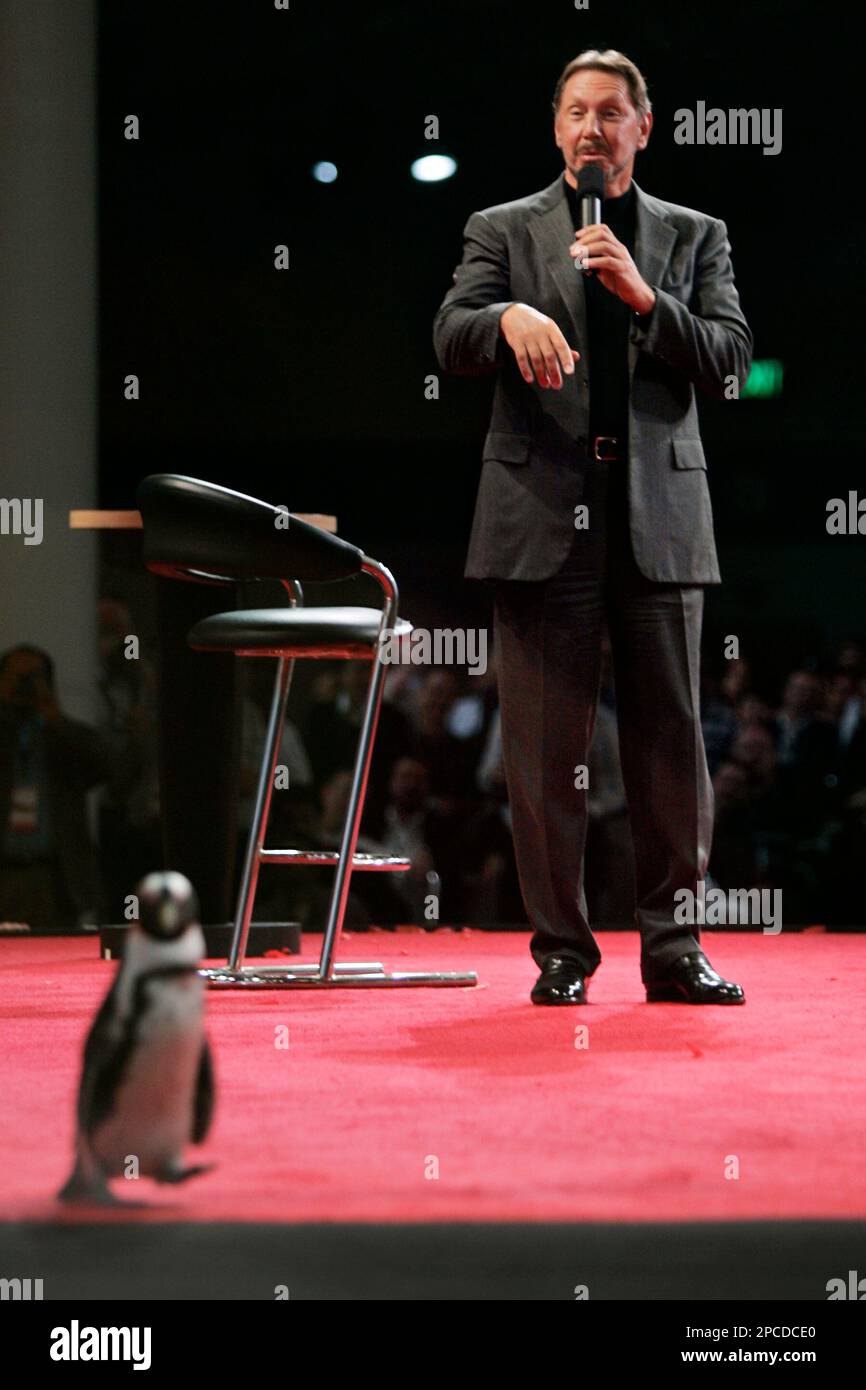A live penguin walks on stage as Oracle CEO Larry Ellison gives his ...