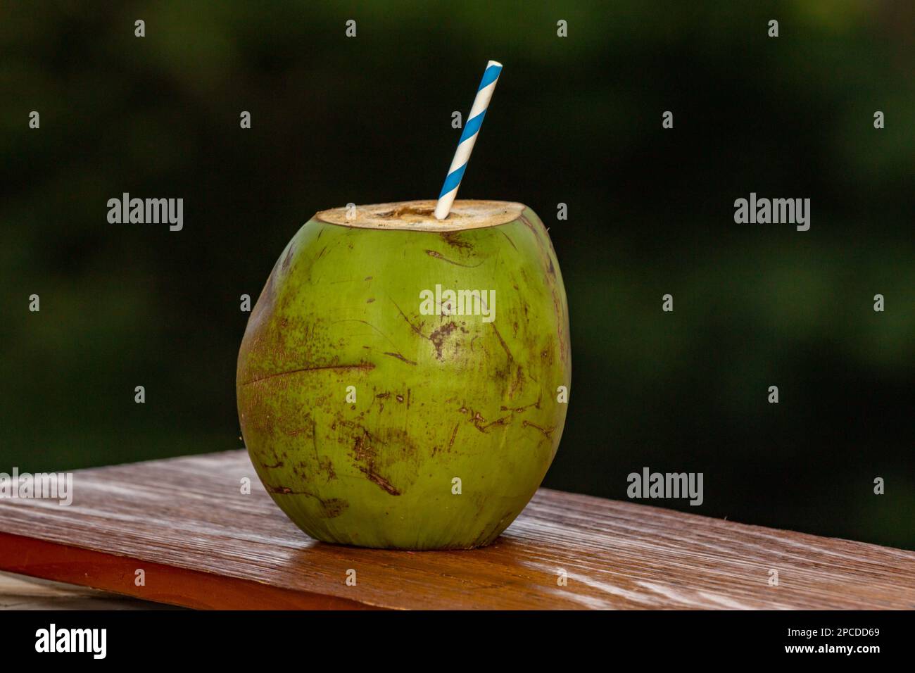 A coconut with a blue and white striped isolated Stock Photo - Alamy