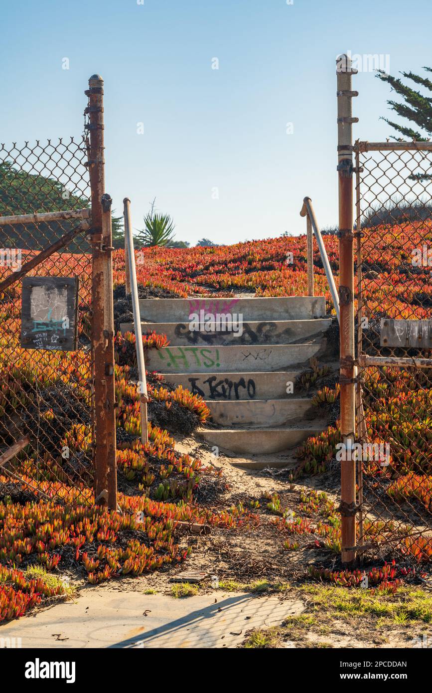 Fort Ord in Monterey California on a Sunny day Stock Photo - Alamy
