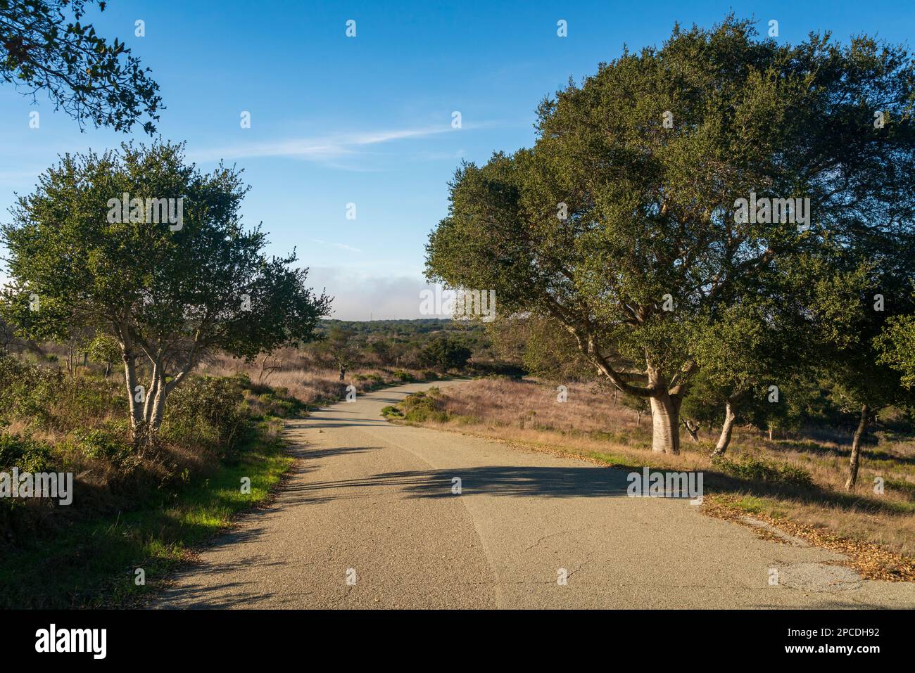 Fort Ord National Monument, California Stock Photo - Alamy