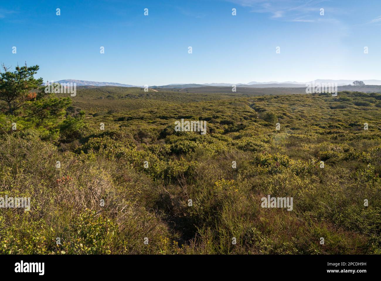 Fort ord national monument hi-res stock photography and images - Alamy
