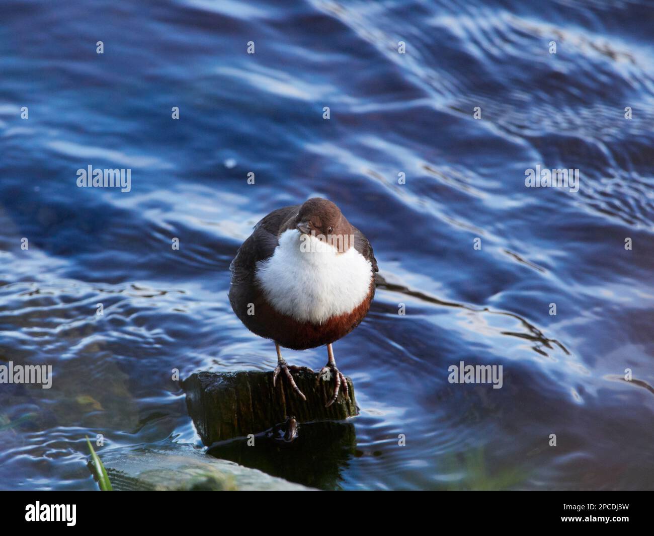 Scottish water van hi-res stock photography and images - Alamy