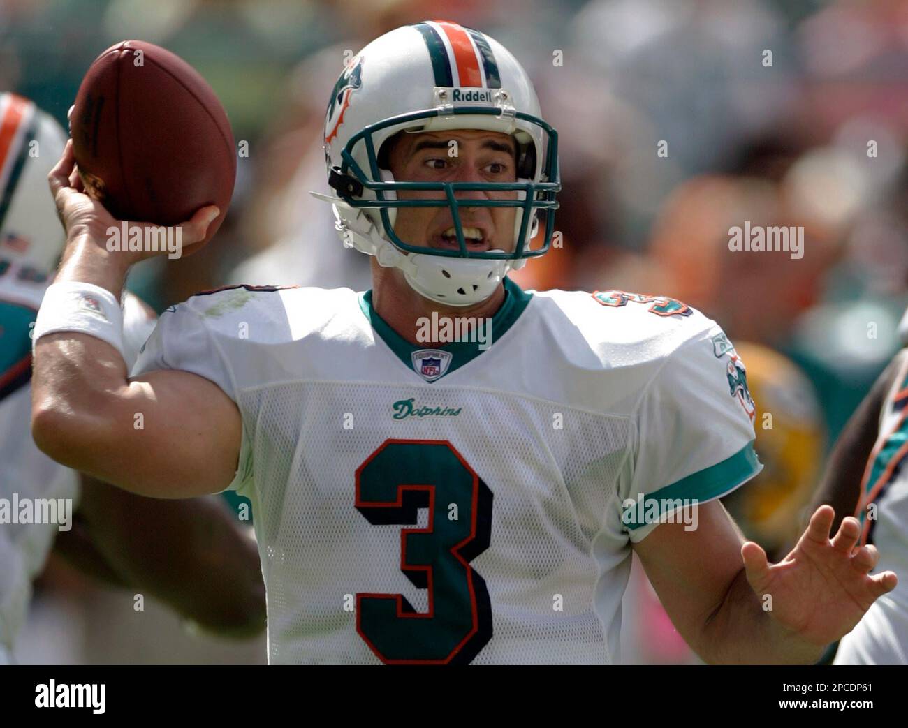 Miami Dolphins quarterback Joey Harrington prepares to pass against the ...