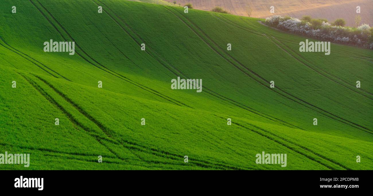 green hills in moravia Stock Photo - Alamy