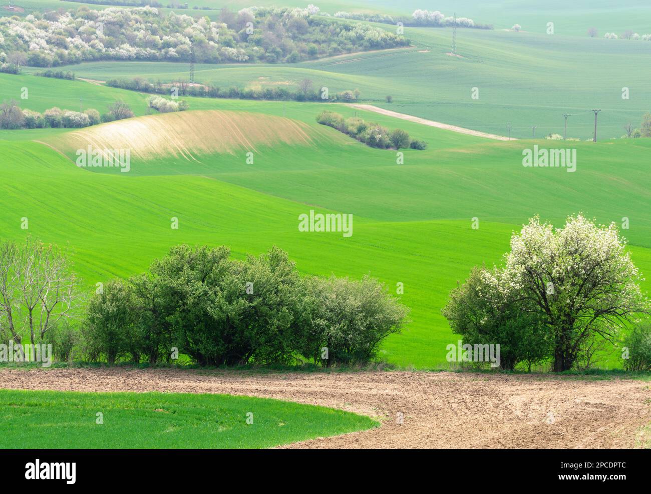 green hills in moravia Stock Photo - Alamy
