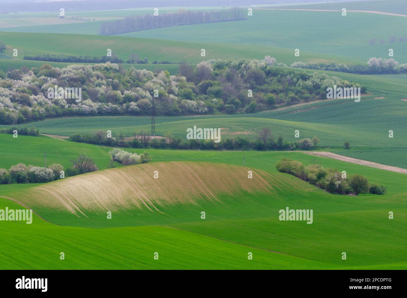 green hills in moravia Stock Photo - Alamy