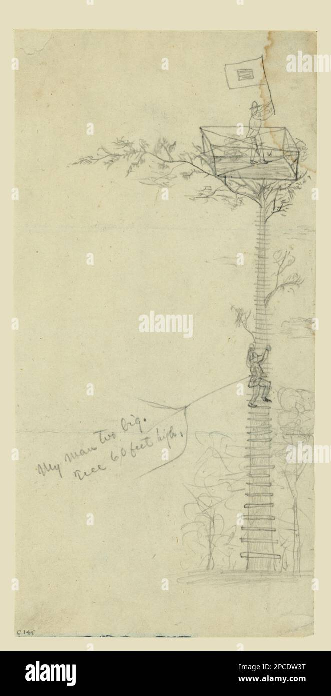 Signaling from treetop. Morgan collection of Civil War drawings. United ...