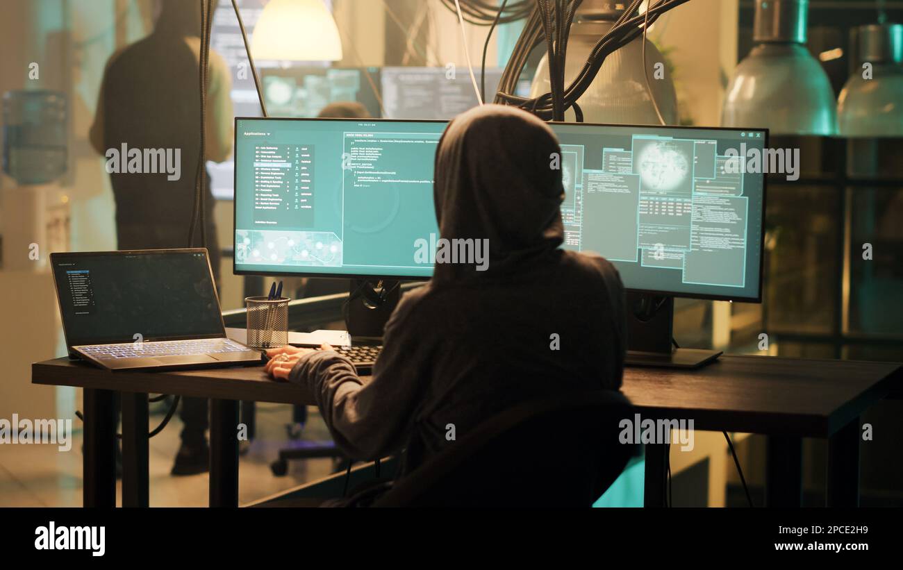 Professional web thief using malware to access system and steal ...