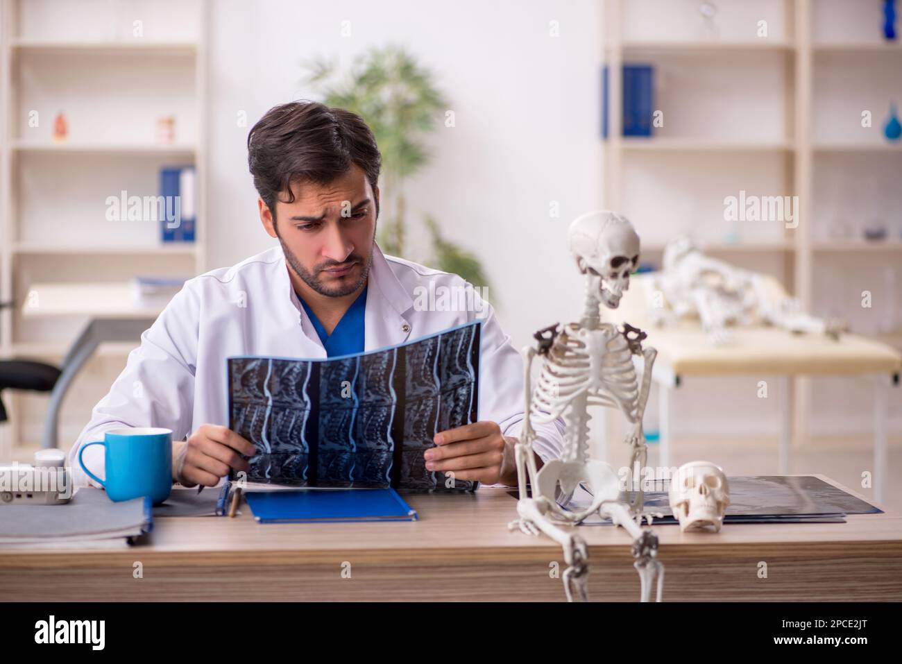 Young doctor radiologist studying human skeleton Stock Photo - Alamy