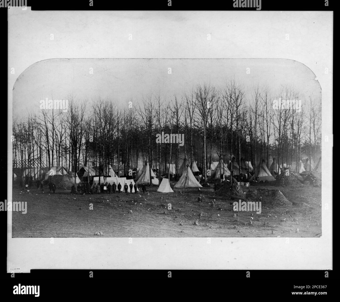 Henry bush brown hi-res stock photography and images - Alamy