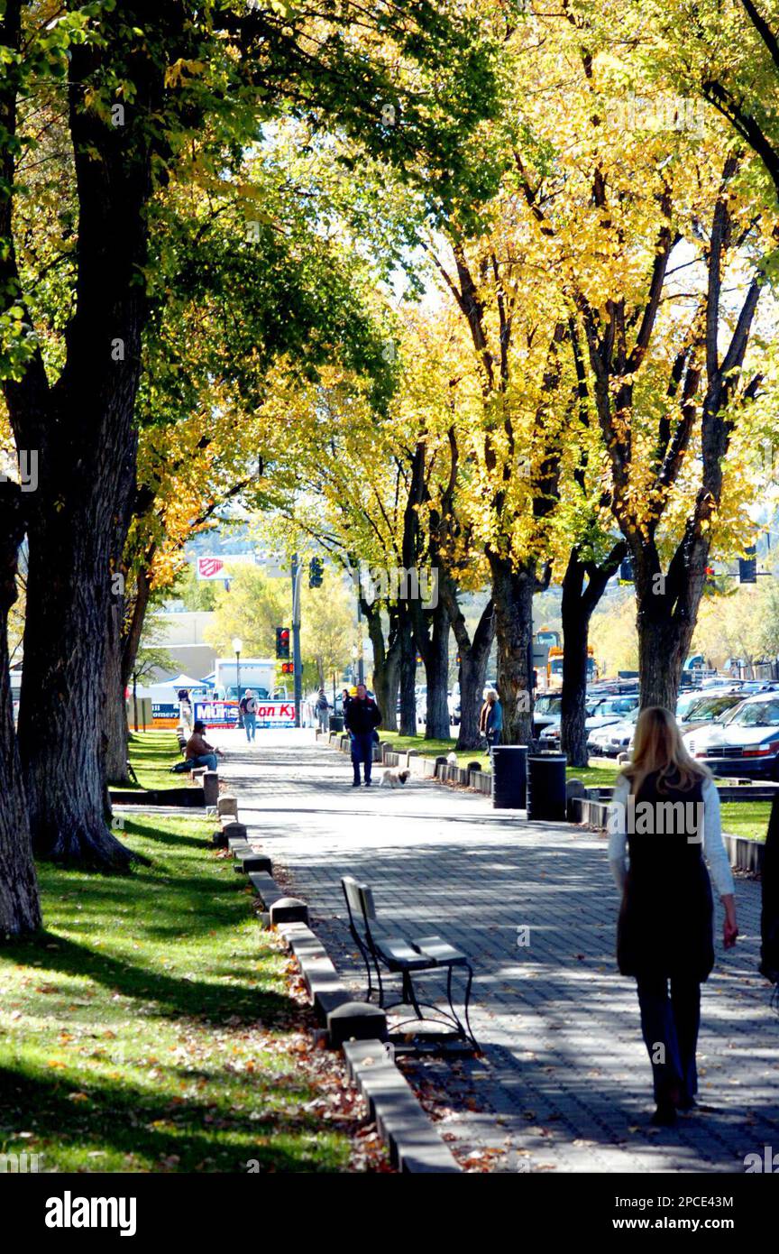 Pedestrians walk under arches of changing leaves in Prescott, Ariz ...