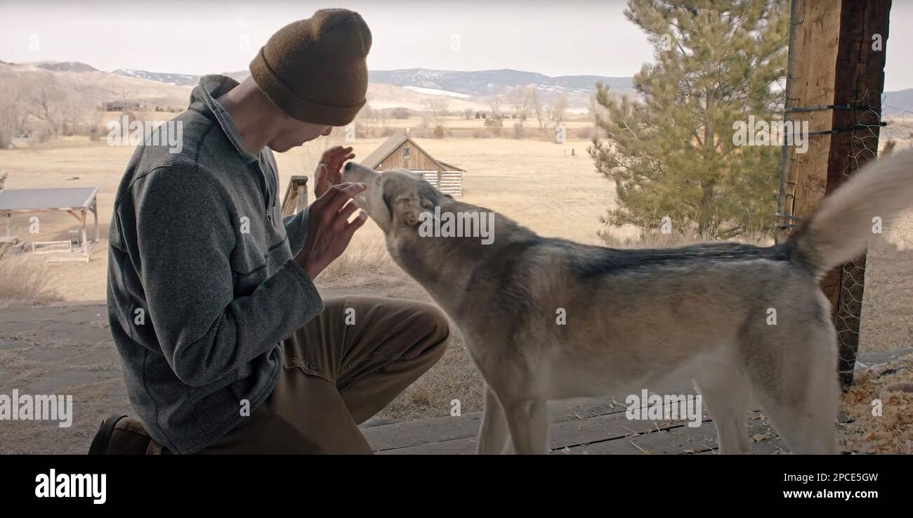 THE YEAR OF THE DOG, Rob Grabow, 2022. © Nova Vento Entertainment ...