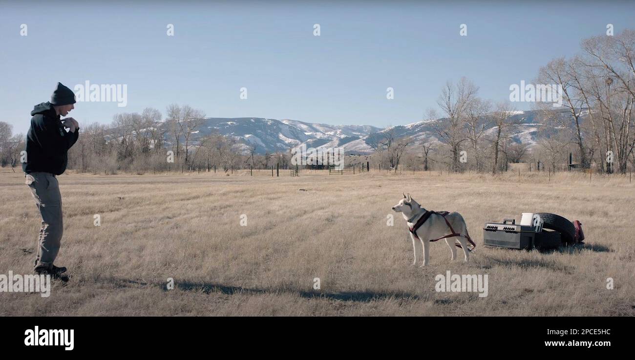 THE YEAR OF THE DOG, Rob Grabow, 2022. © Nova Vento Entertainment ...