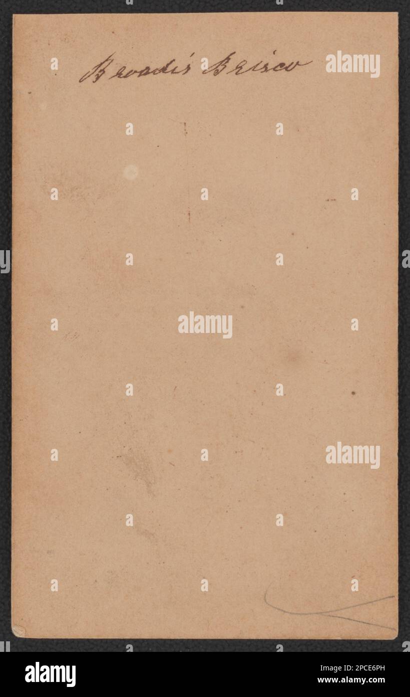 Private Broadas Briscoe of Co. C, Snider's Missouri Cavalry Battalion ...