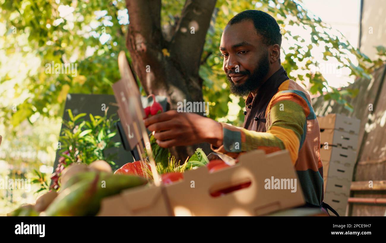 African american farmer selling box hi-res stock photography and images ...