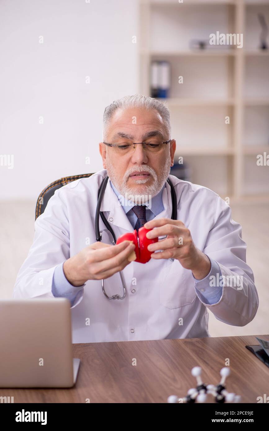 Old cardiologist holding heart model Stock Photo - Alamy