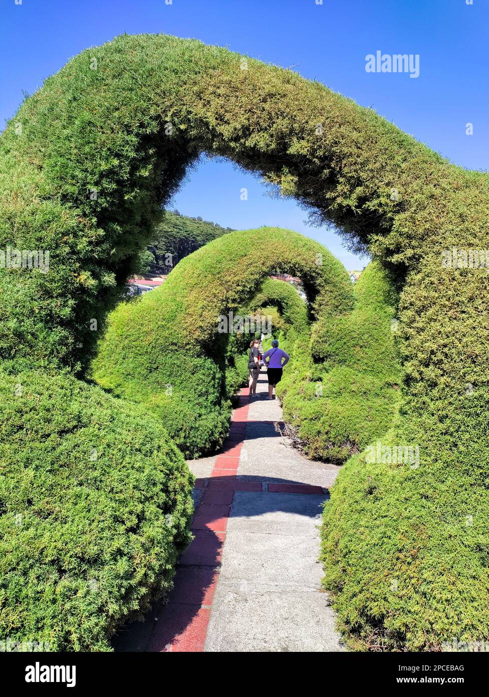 Zarcero, Costa Rica - The topiary garden in Parque Francisco Alvarado ...