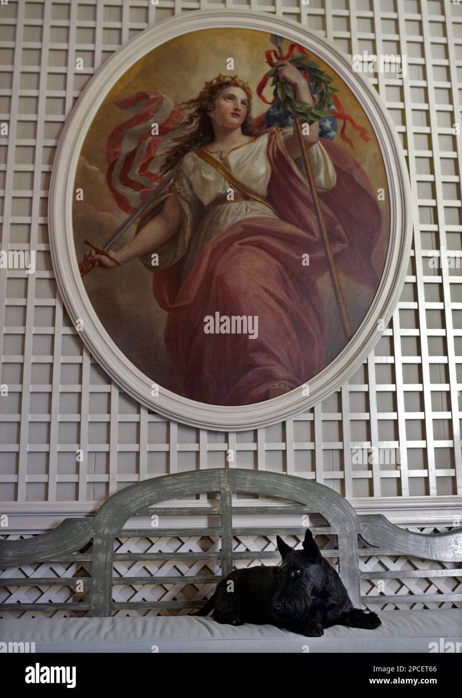 Barney, President Bush's Scottish Terrier, rests on one of the couches ...