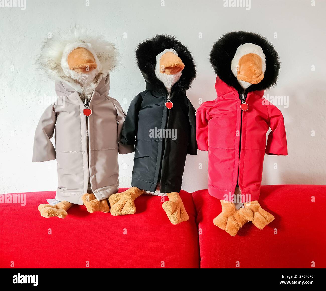 Three geese stuffed animals with weatherproof jackets sit on a red sofa ...
