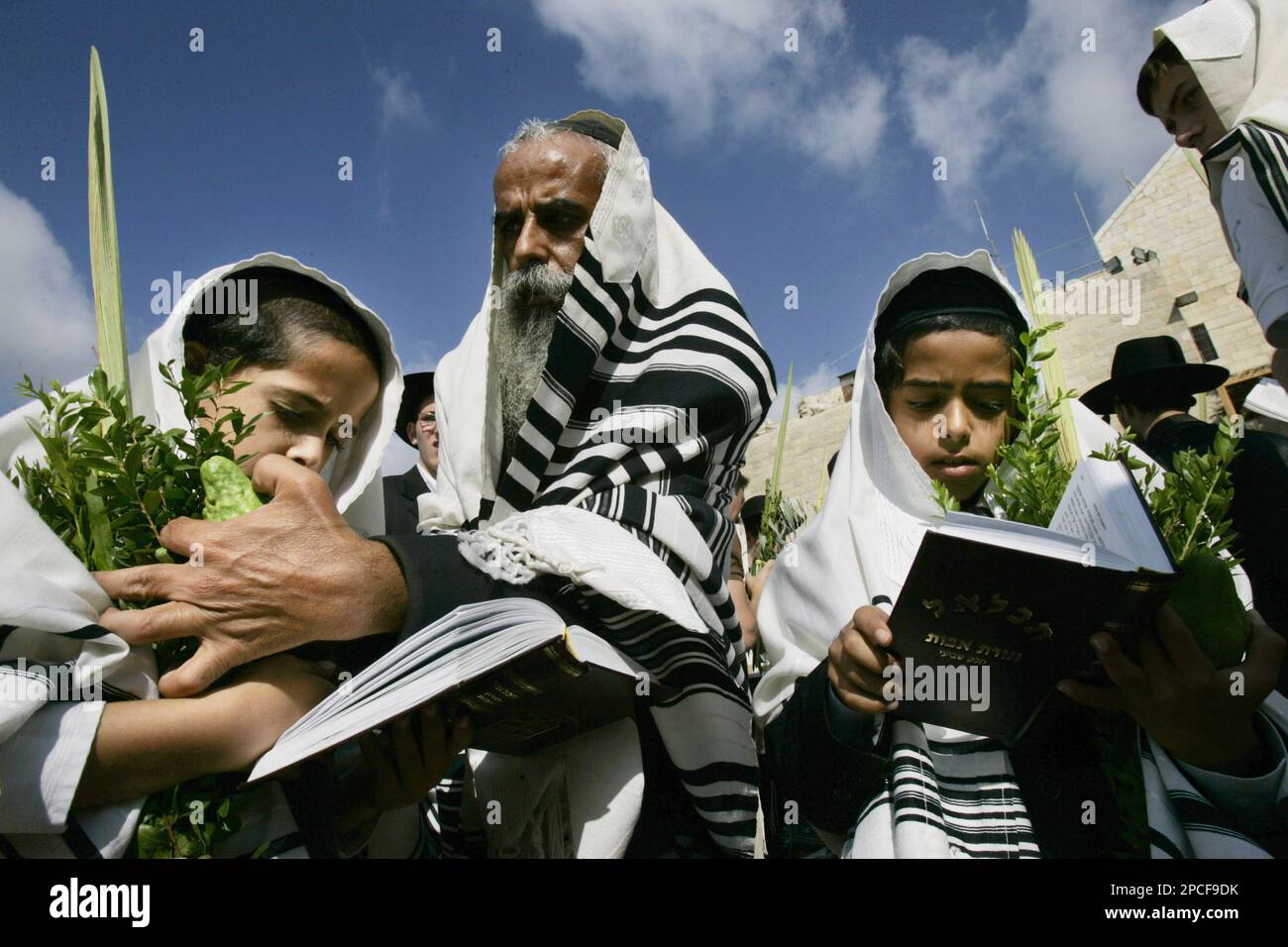 Israeli Ultra-orthodox Jews of the Cohanim Priestly caste participate ...