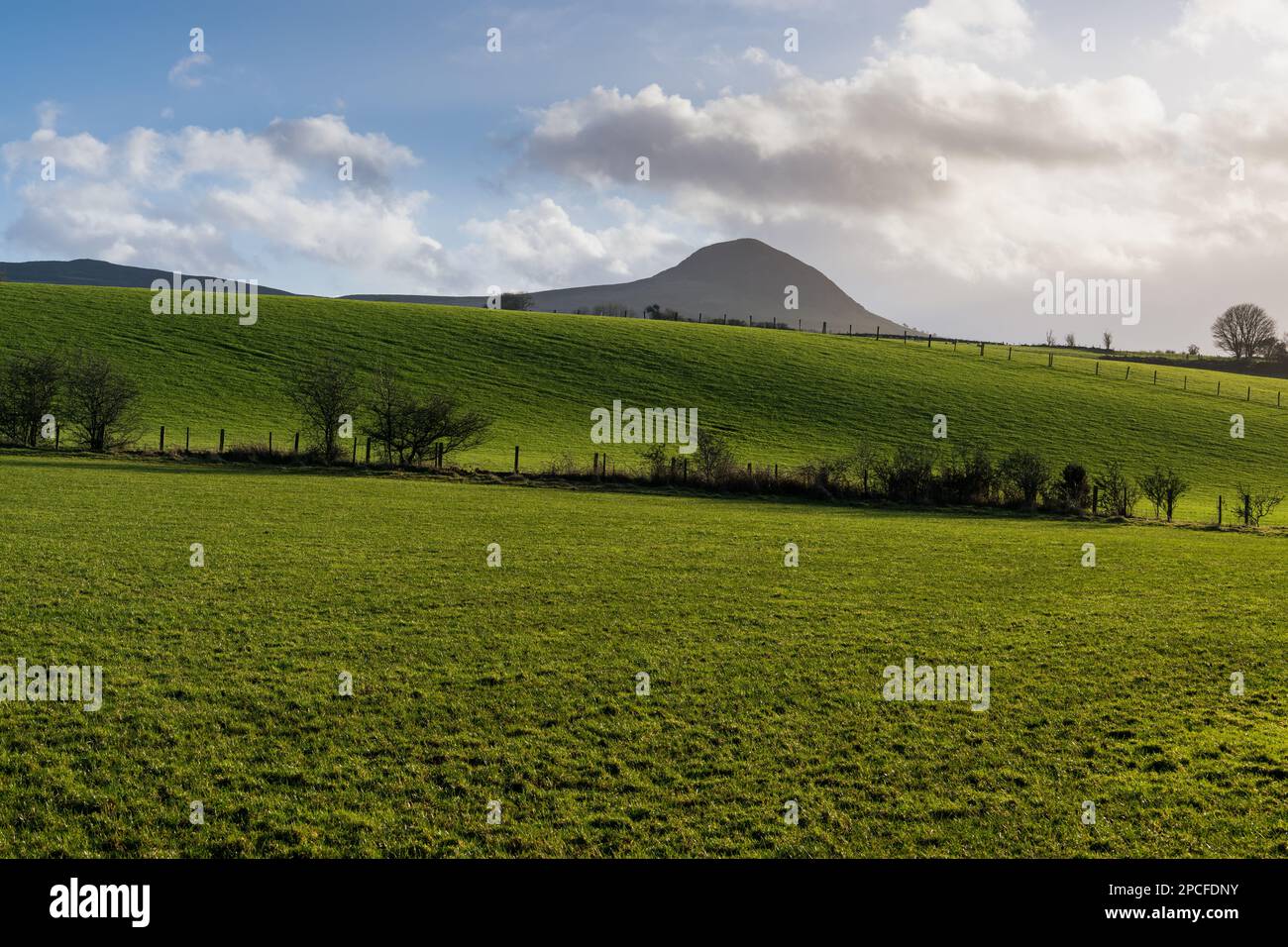 Landscape of the tranquil beauty of the rolling hills and green fields ...
