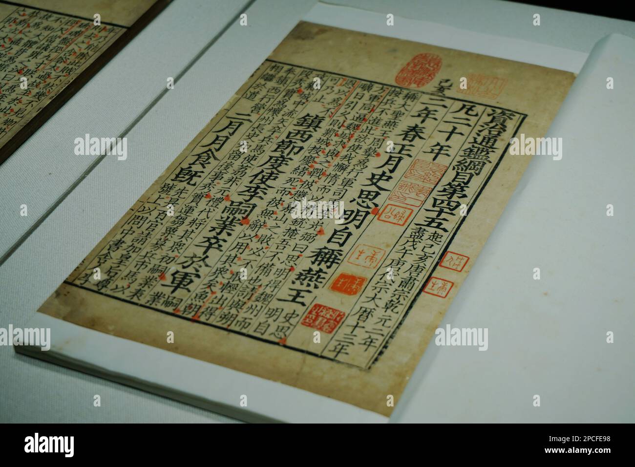 HANGZHOU, CHINA - MARCH 11, 2023 - Photo taken on March 11, 2023 shows ...