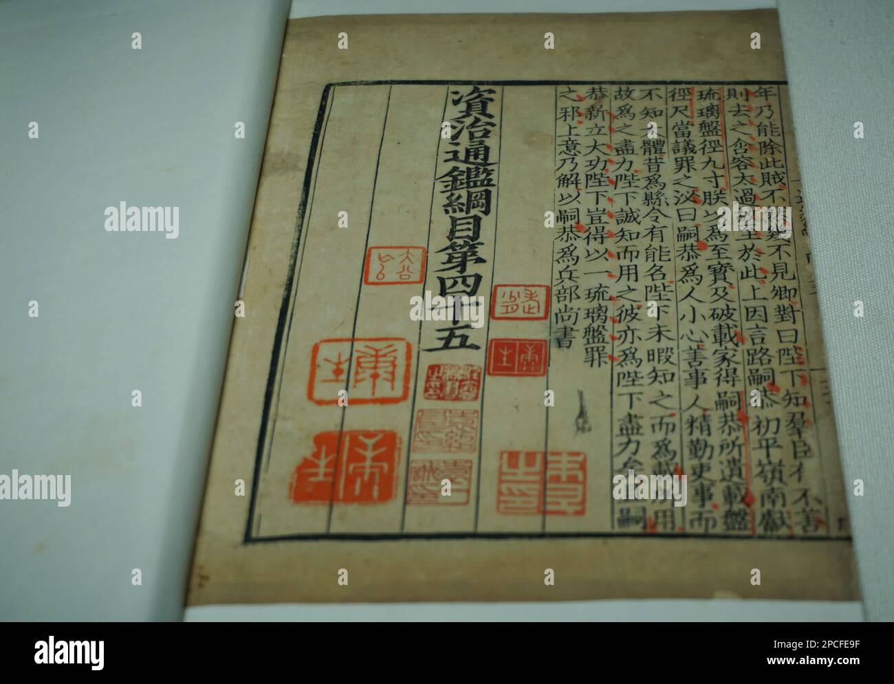 HANGZHOU, CHINA - MARCH 11, 2023 - Photo taken on March 11, 2023 shows ...