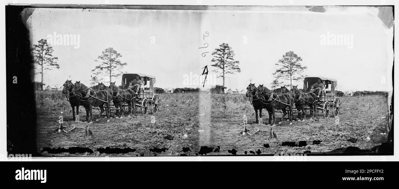 Falmouth, Virginia. Mail wagon for headquarters, Army of the Potomac ...