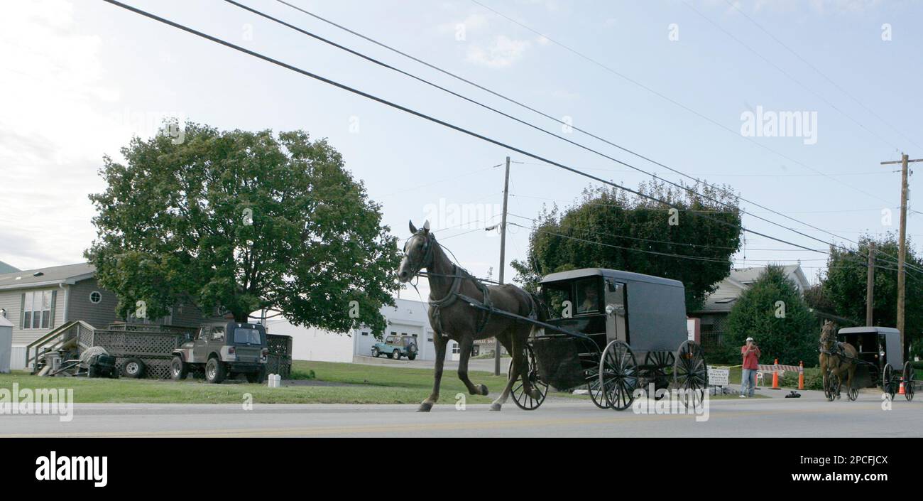 The bench wagons carrying the caskets of Mary Liz Miller and Lena ...