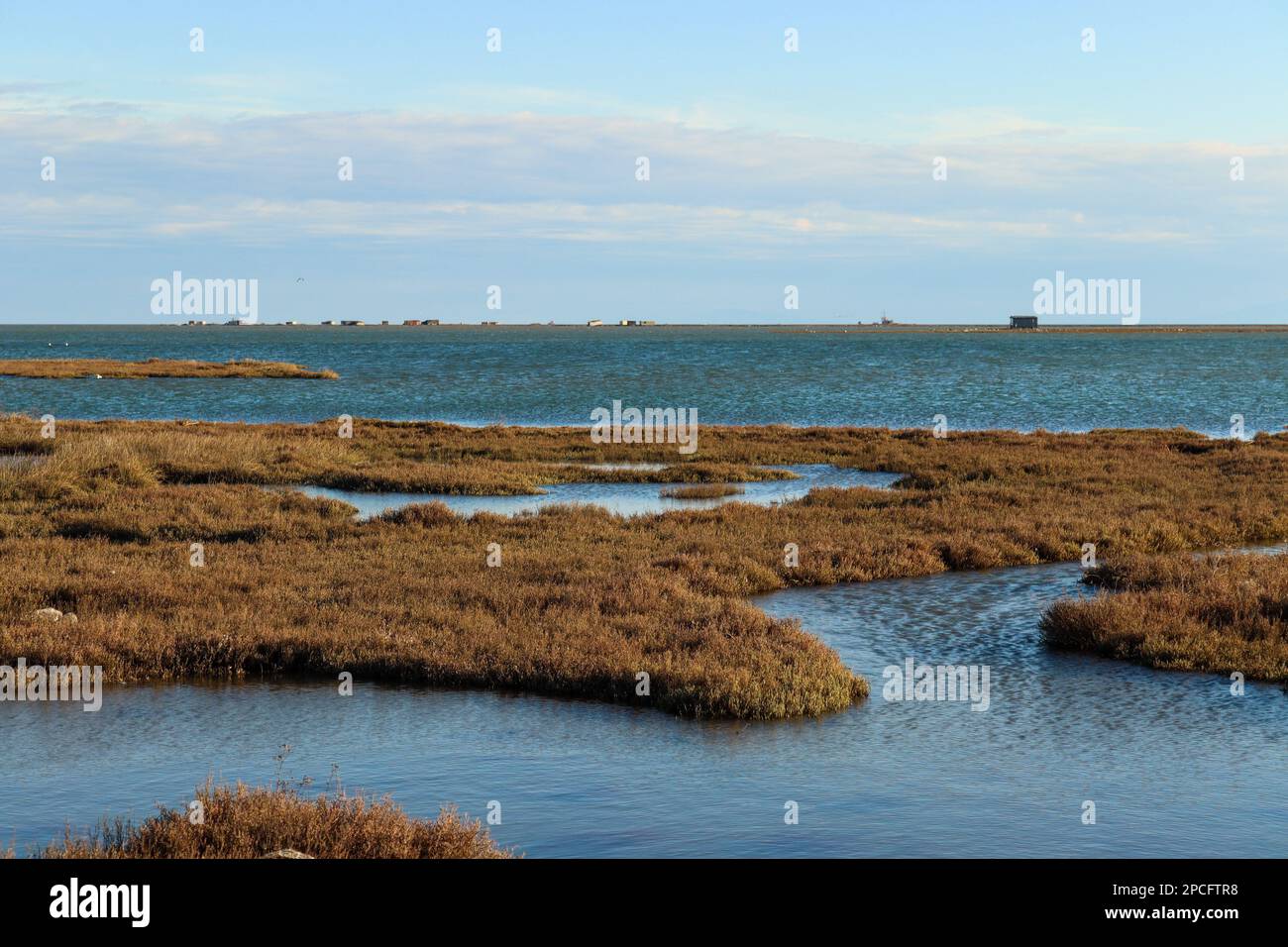 Delta river hi-res stock photography and images - Alamy