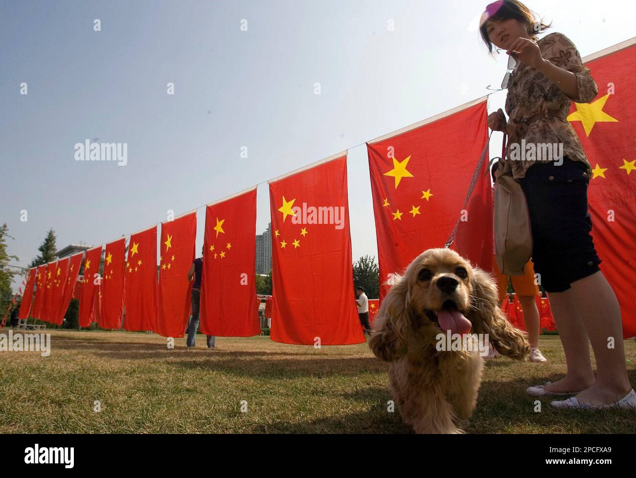 A Chinese woman walks her dog near national flags on display at a park ...