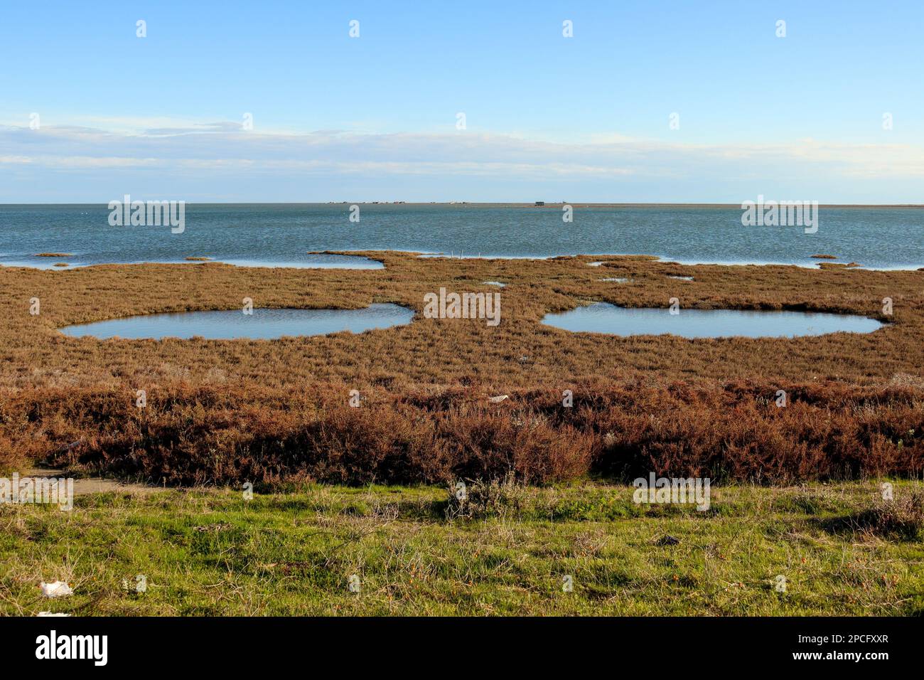 Delta river hi-res stock photography and images - Alamy