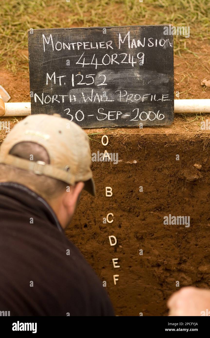 Staff archaeologist Mark Trickett labels layers for a profile ...