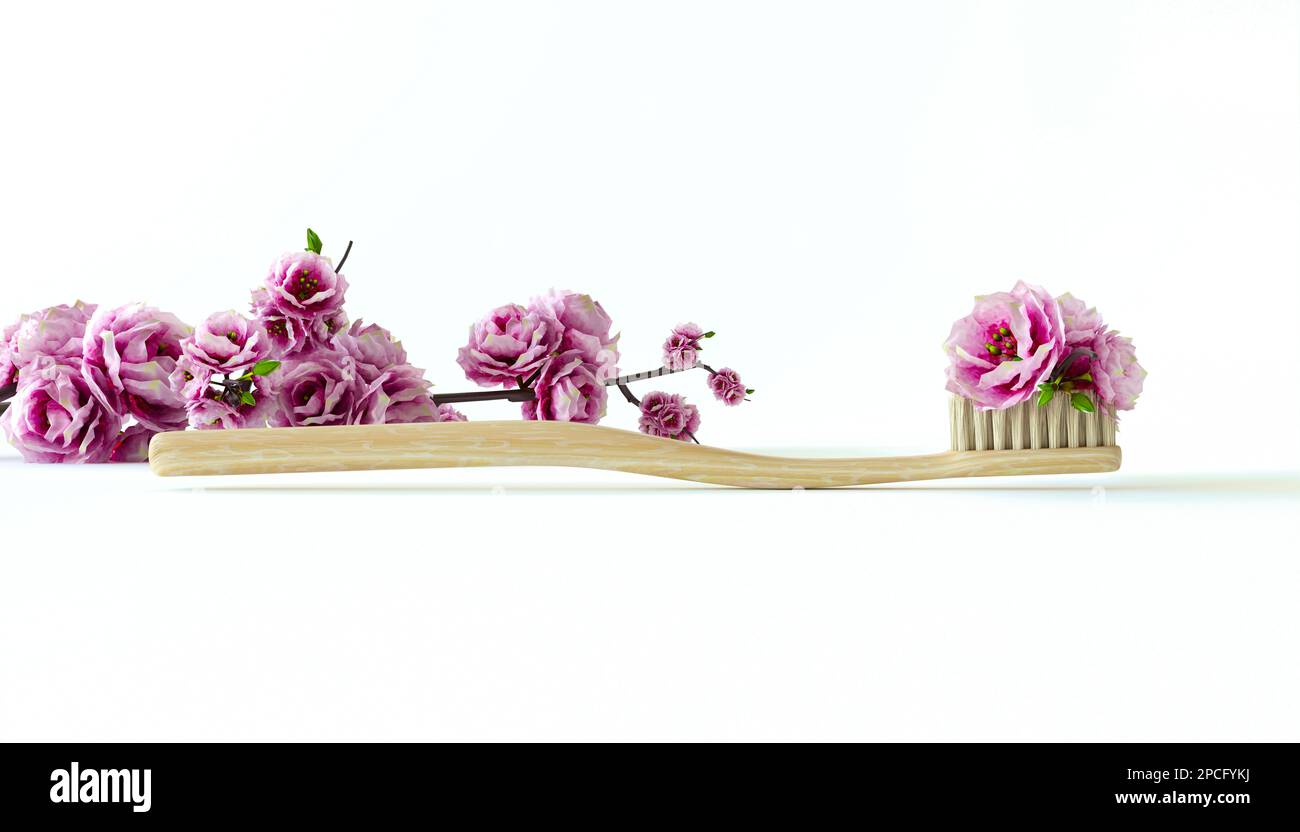 Wooden toothbrush with natural bristles isolated on white background ...