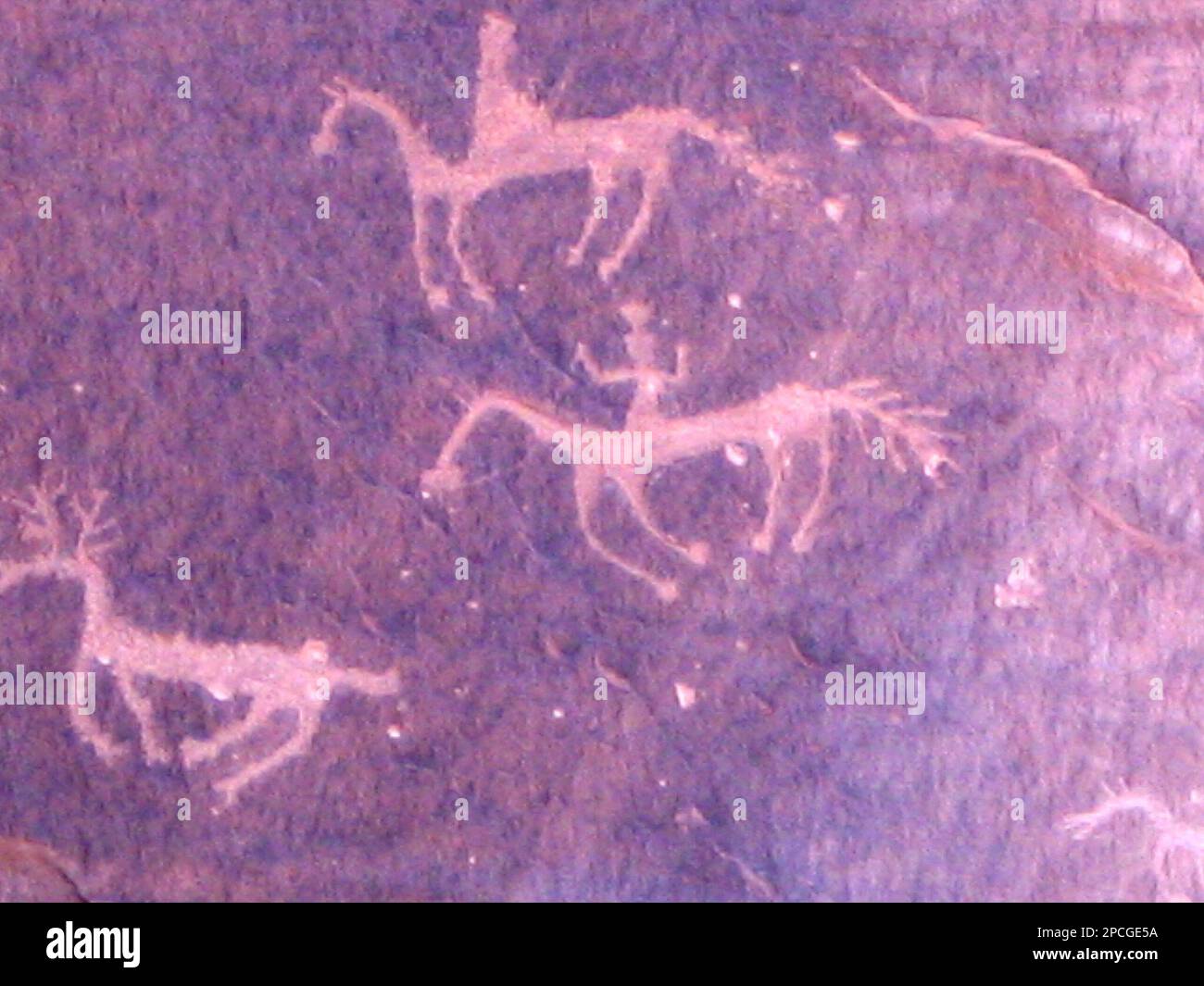 Riders on horseback and an antelope are pictured in this rock drawing ...