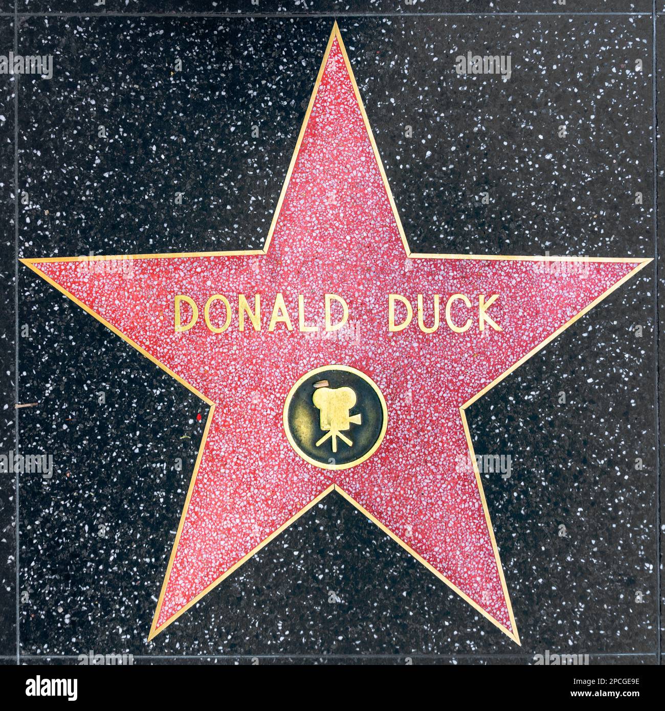 Los Angeles, USA - March 5, 2019: closeup of Star on the Hollywood Walk ...