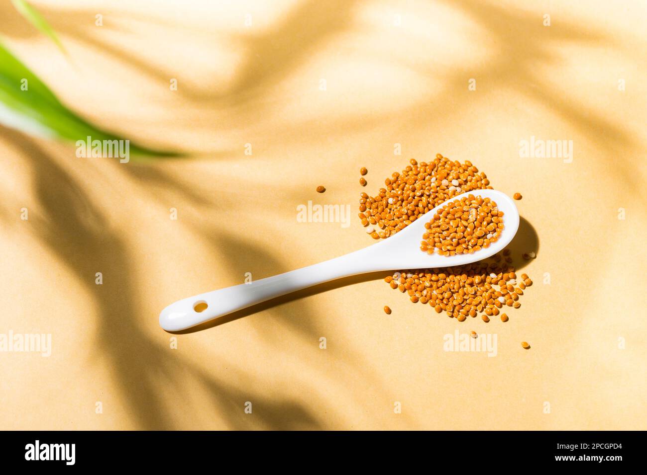 healthy grains of red millet served in a plate on yellow background ...