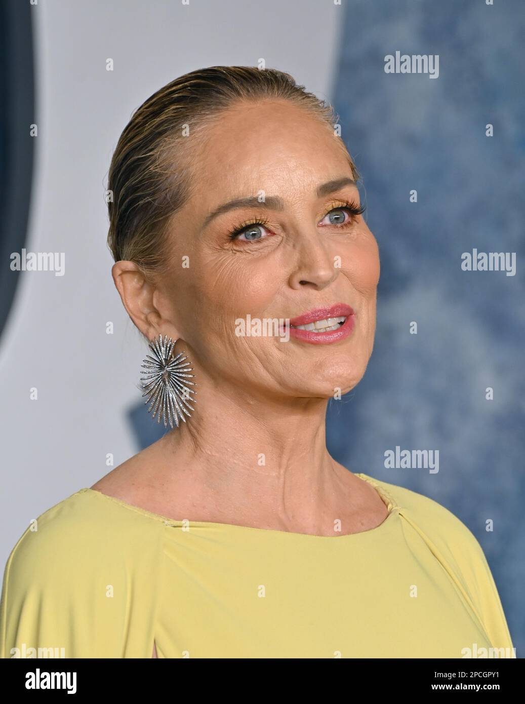 Beverly Hills, USA. 12th Mar, 2023. Sharon Stone at the 2023 Vanity ...