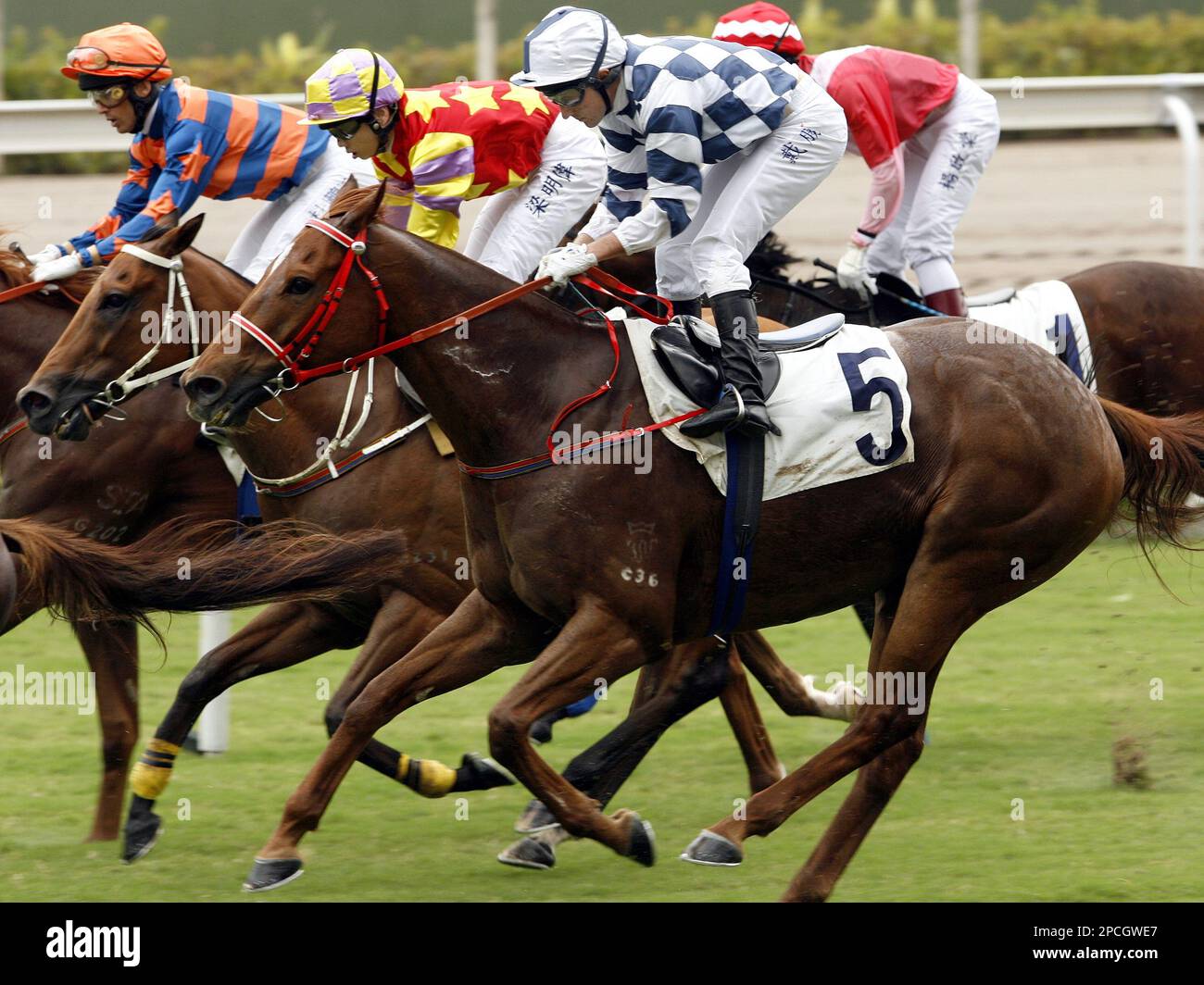 New Zealand-born Australian jockey Shane Dye rides horse Toy Quest (5 ...