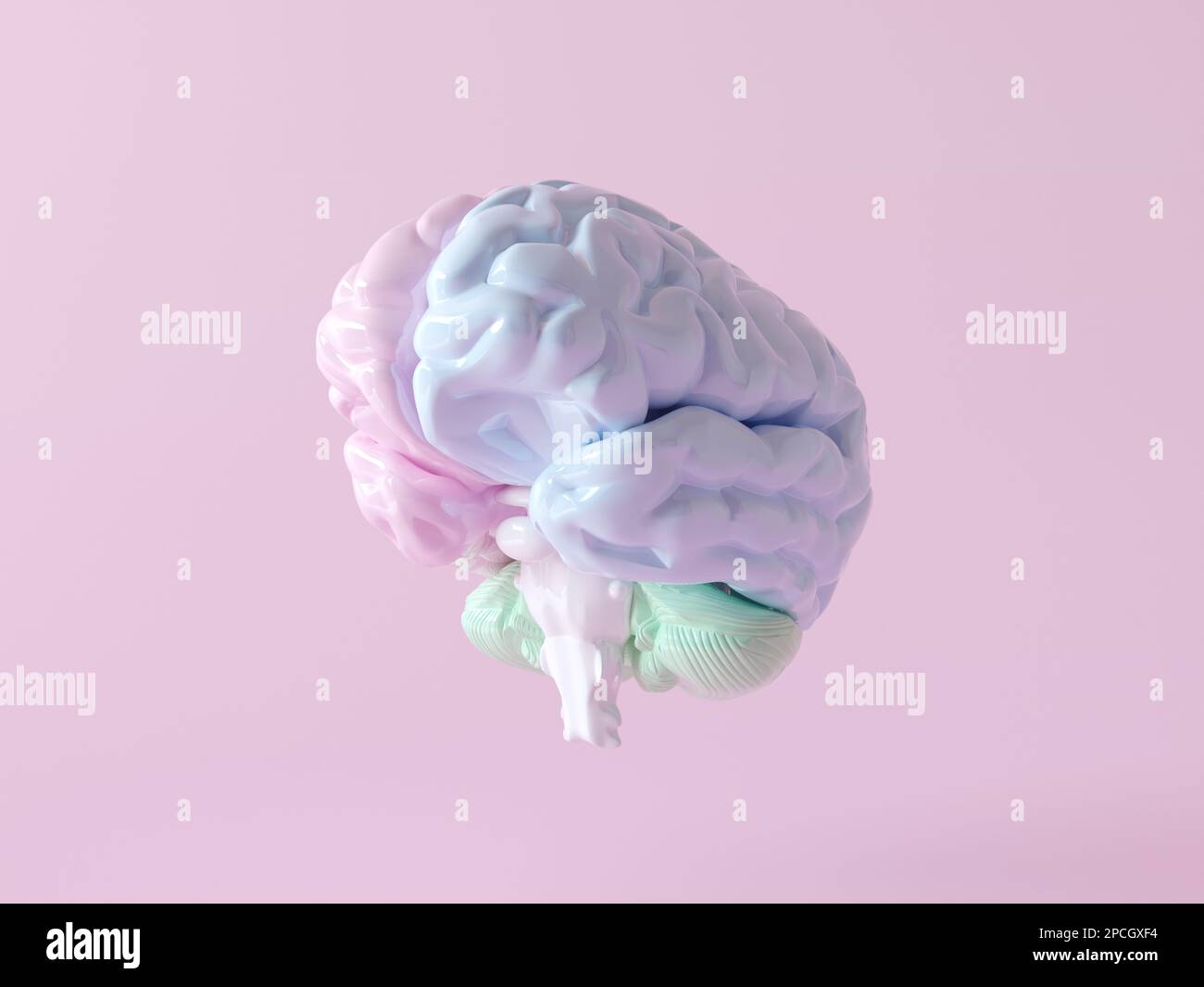 3D brain rendering illustration with left and right function and ...